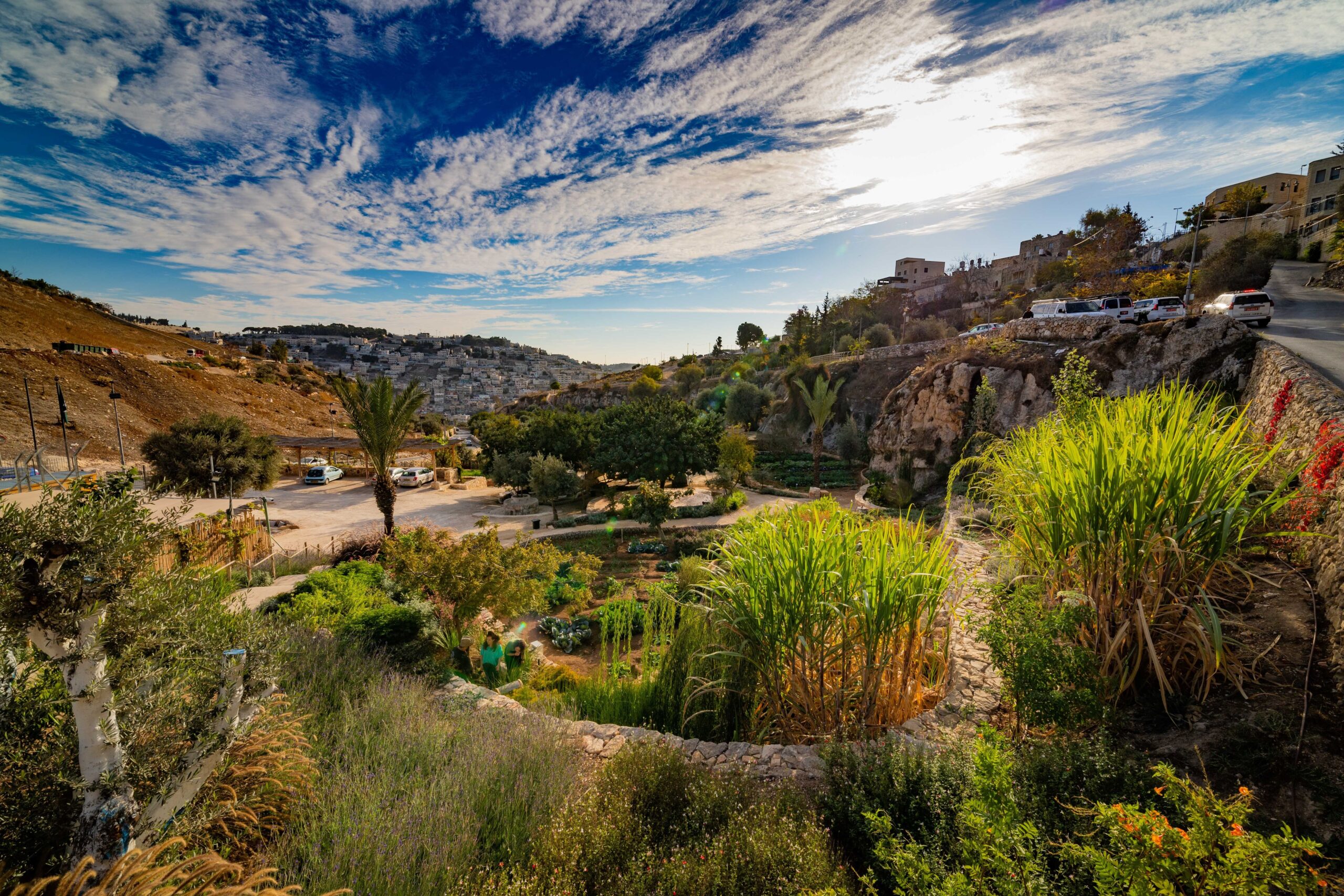 City of David Sites - City of David