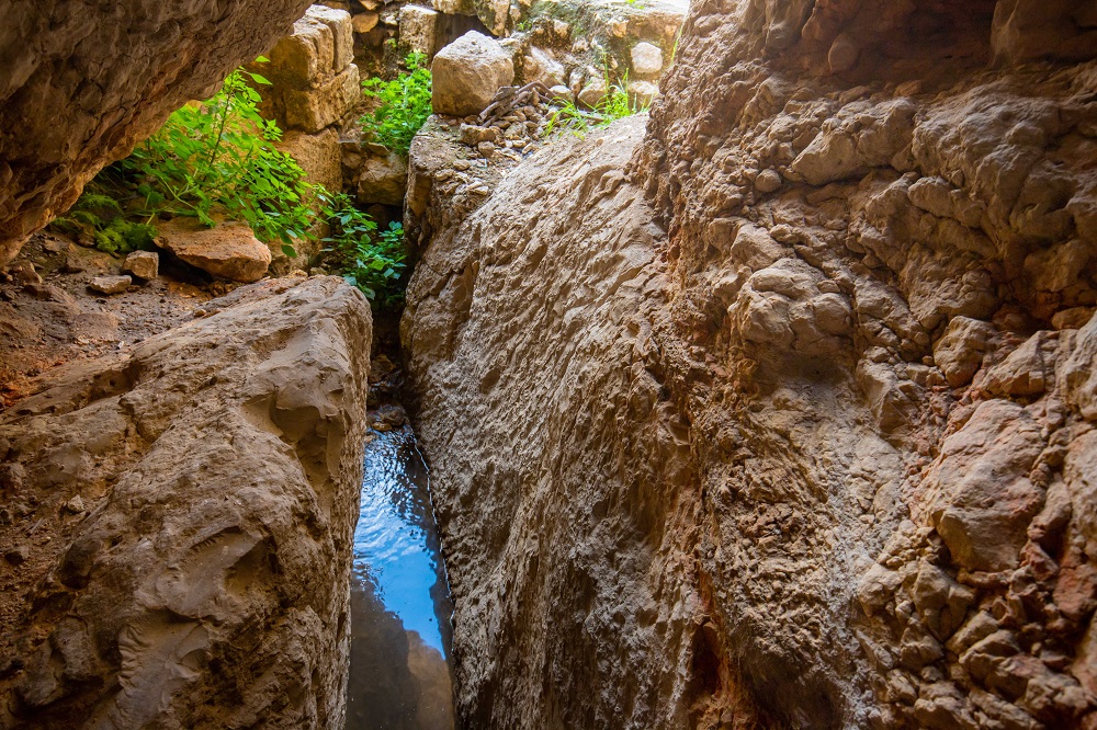 בריכת השילוח בעיר דוד - City of David