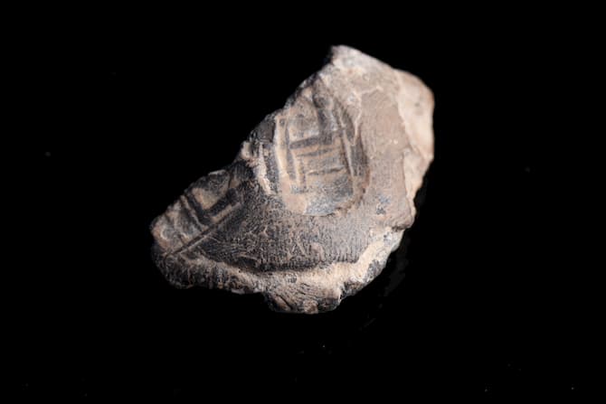 5 things to know about the Gihon Spring - City of David