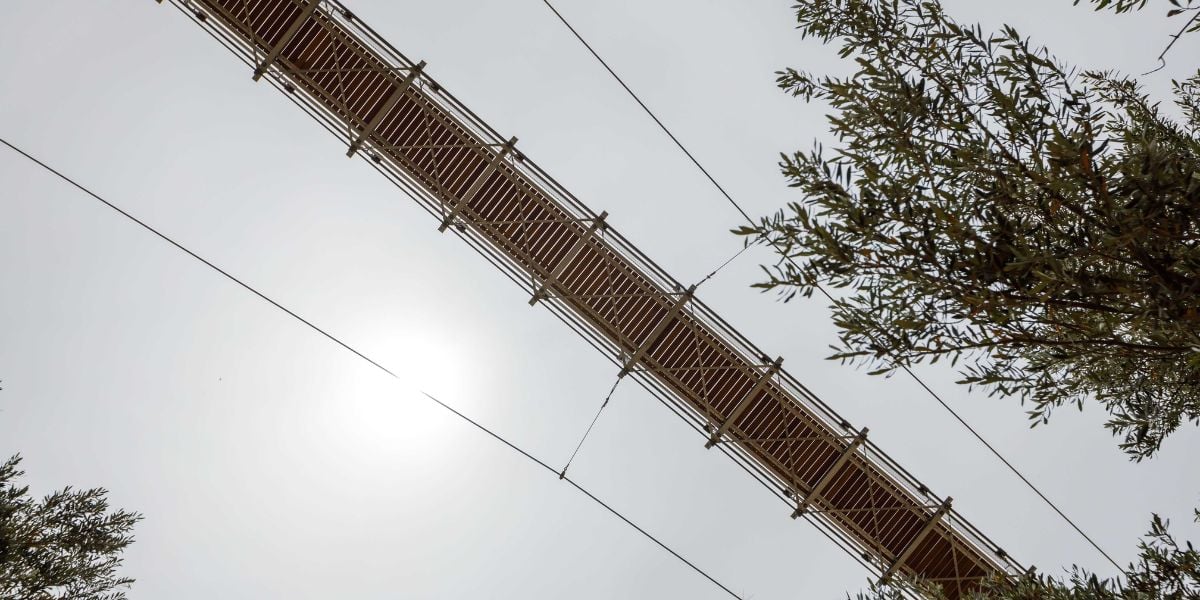 The longest suspension bridge in Israel - עיר דוד